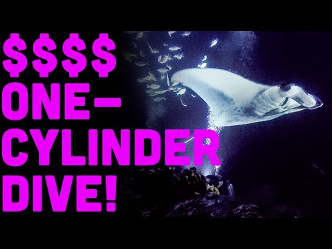 The Most Expensive 1-Cylinder Dive EVER... So Worth It! - Divers Ready!