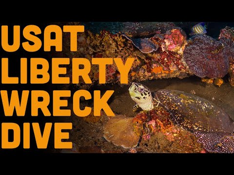 USAT Liberty: Bali's Iconic Wreck Dive - Divers Ready!